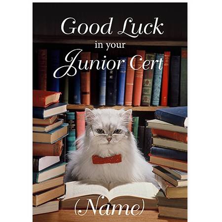 Good Luck Junior Cert Cat Card | Greeting Card | greetings.ie | 2000-01305